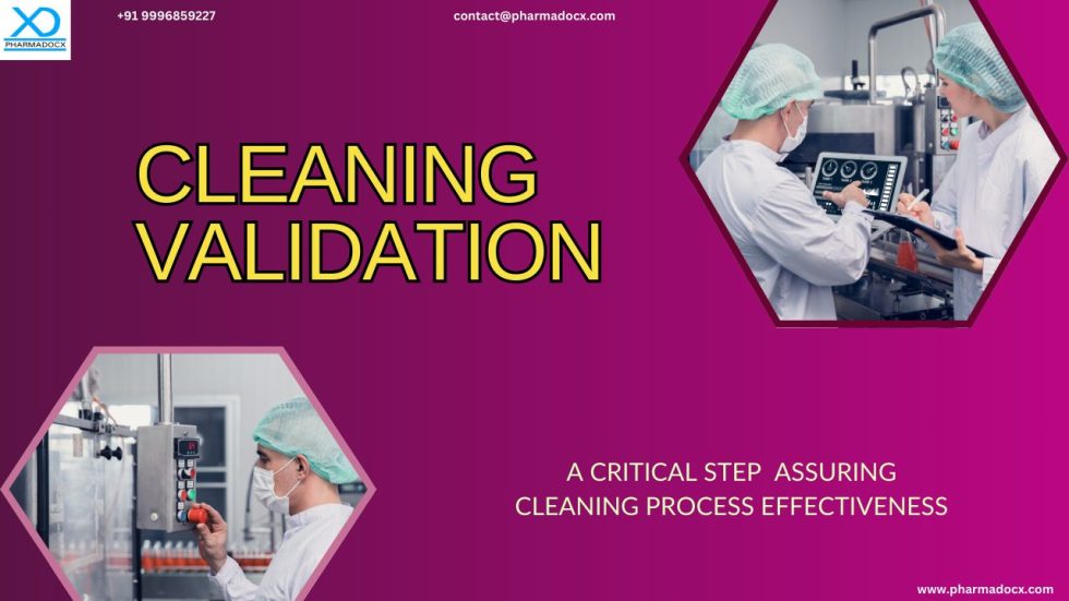 Cleaning Validation in Pharmaceutical Industry: A Quick Guide ...