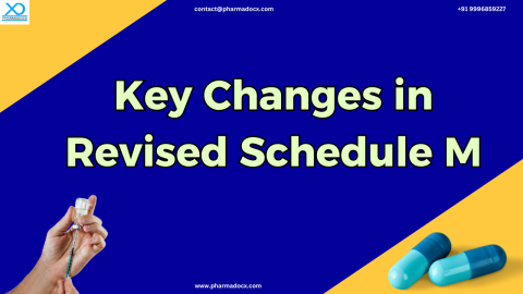5 Key Changes in Revised Schedule M: A Comprehensive Guide - Pharmadocx ...