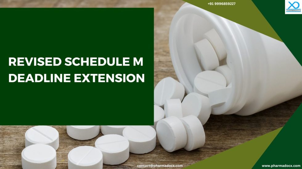 Revised Schedule M Deadline Extension: Latest Notification Draft G.S.R ...
