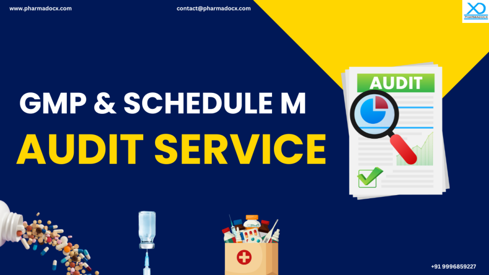 GMP and Schedule M Audit Service for Pharmaceutical Facilities ...