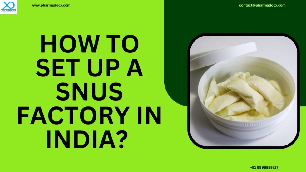 Setting Up a Snus Manufacturing Factory in India: A Comprehensive Guide ...