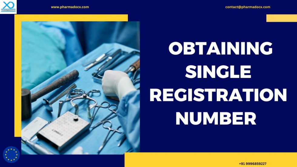 5-Step Guide to Obtaining Single Registration Number (SRN) - Pharmadocx ...