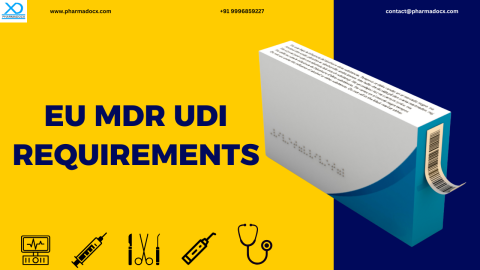 EU MDR UDI Requirements: Everything You Need to Know - Pharmadocx ...